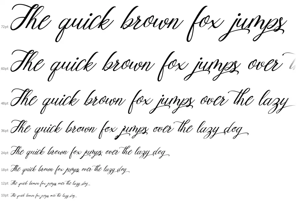 Mottingham Elegant Calligraphy font by Axara Type | FontRiver