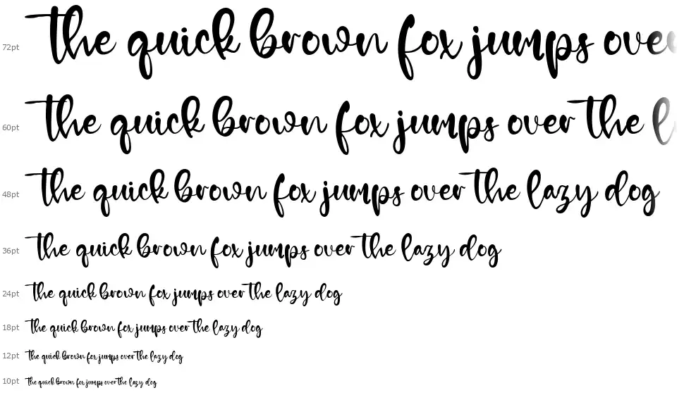Nico Alex font by Kong Font | FontRiver