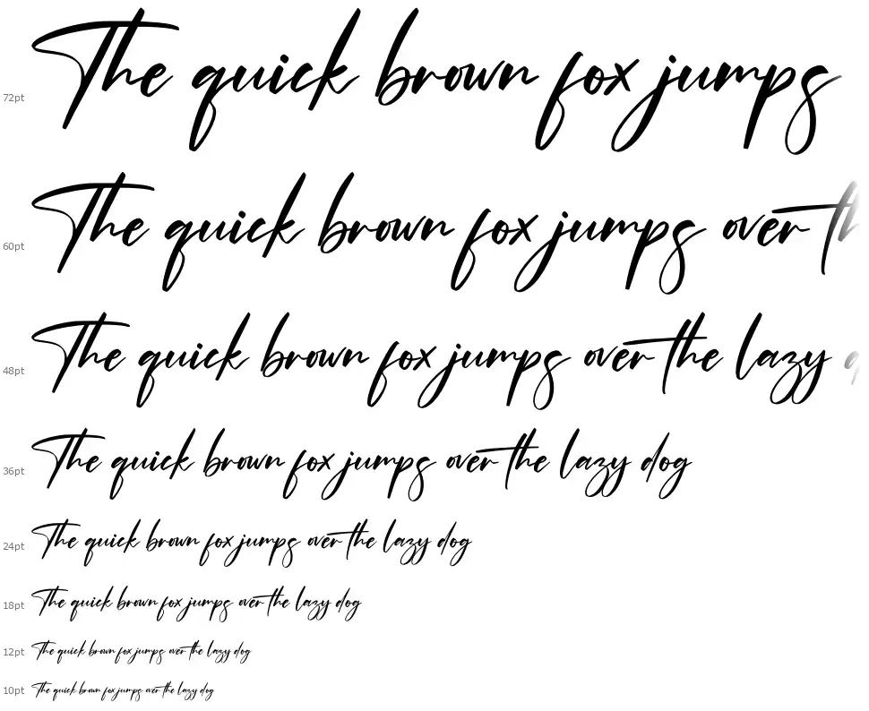 Optimistic Signature font by Perspectype Studio | FontRiver