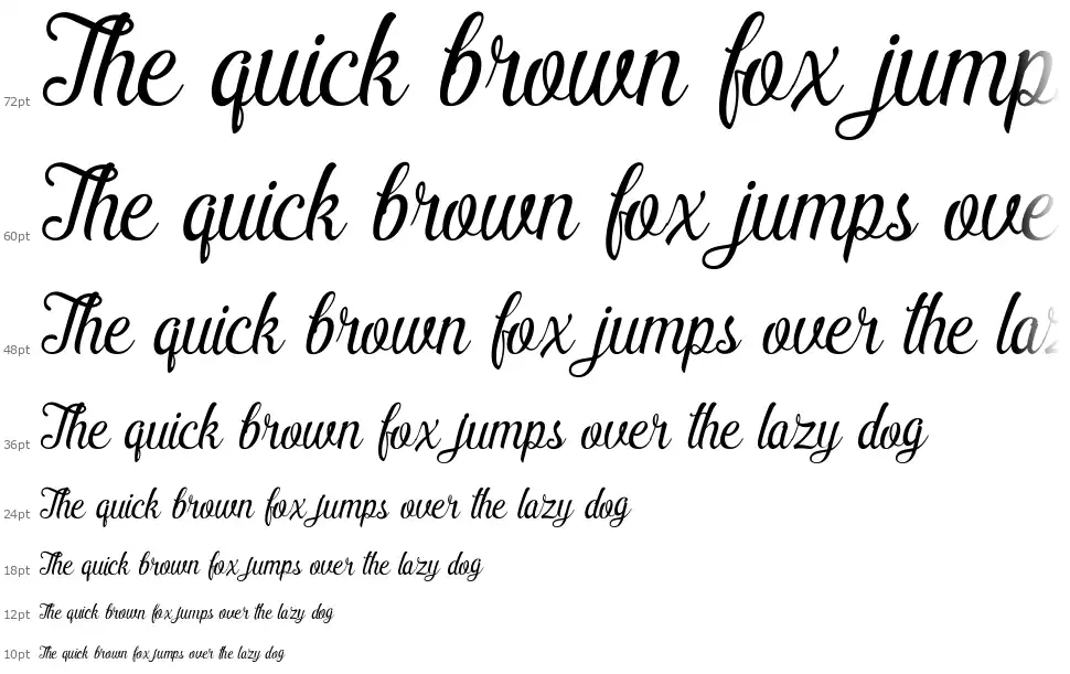 Pamega Script font by Aktab Studio | FontRiver