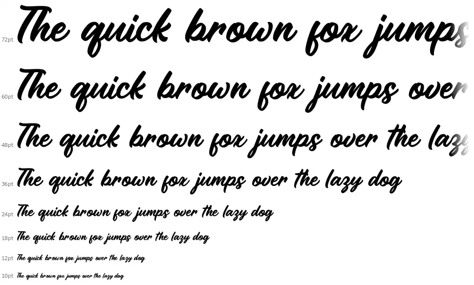 Panther Hunter font by Zeenesia Studio | FontRiver