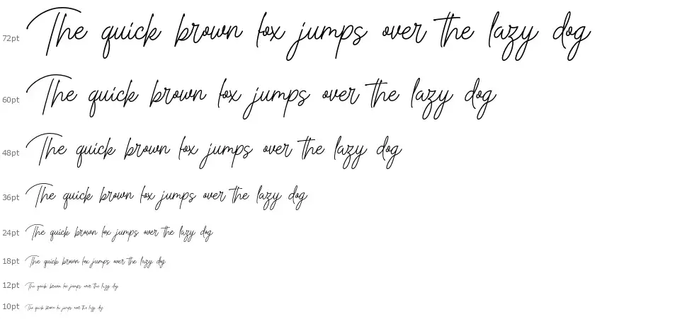Paragraphy font by MJType | FontRiver