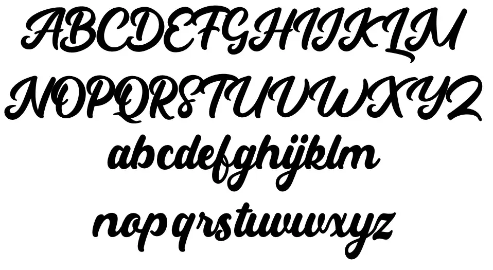 Partner font by Rantautype | FontRiver