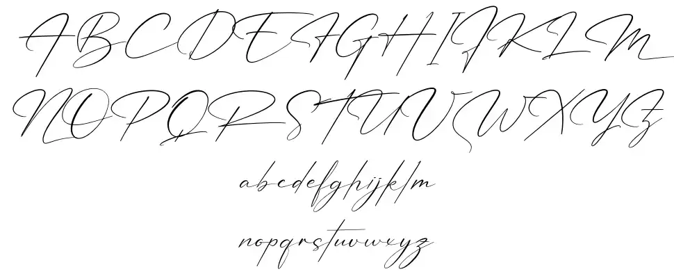 Patricia Signature font by Letterena Studios | FontRiver