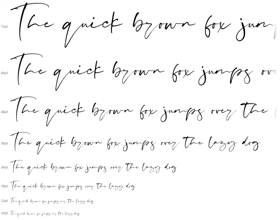 Persian font by Fikryal studio | FontRiver