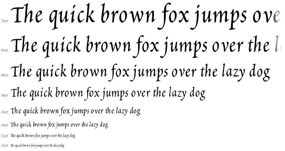 Petitscript font by Manfred Klein | FontRiver