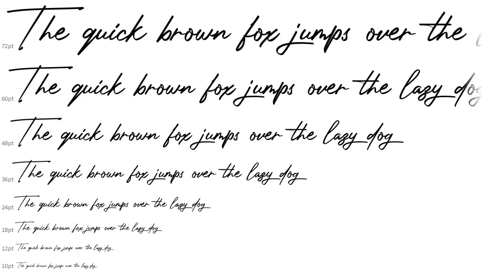 Photograph Signature font by typelinestudio | FontRiver