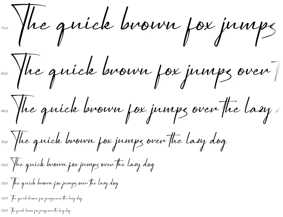 Portland S font by Noah Type | FontRiver