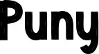 Puny font by Display Studio | FontRiver