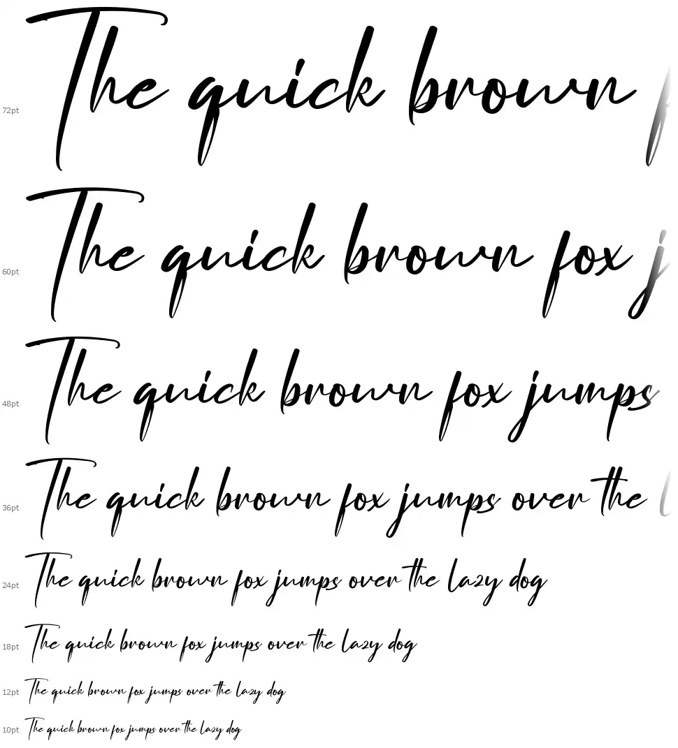 Radstock font by Noah Type | FontRiver