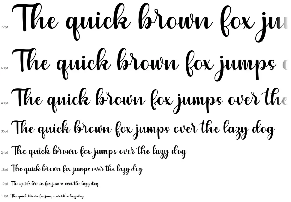 Raelyn font by Fadlilah Studio | FontRiver