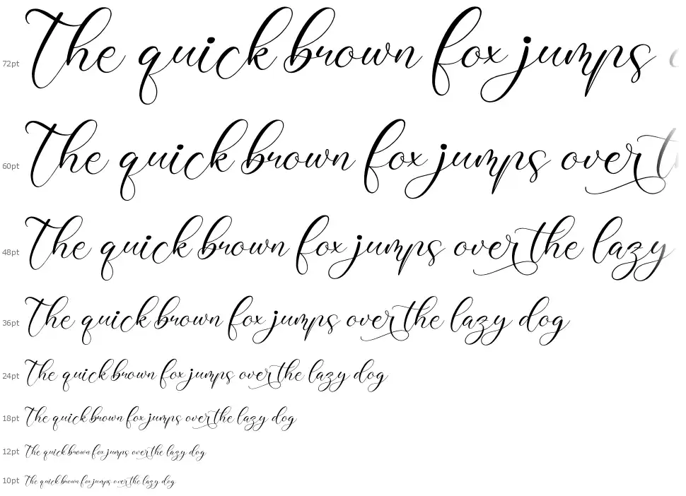 Rafaela Salitha font by Perspectype Studio | FontRiver