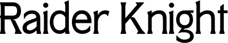 Raider Knight font by Storytype Studio | FontRiver