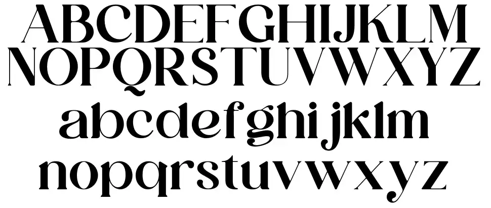 Ranika font by Storytype Studio | FontRiver