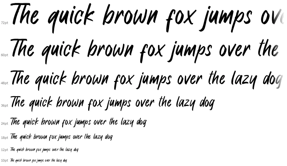 Raymond Signature font by Kotak Kuning Studio | FontRiver