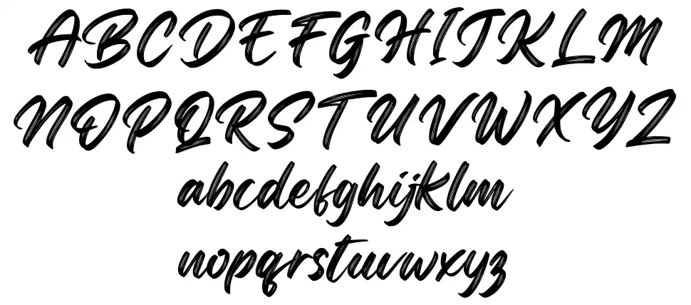 Regular Brush font by Din Studio | FontRiver