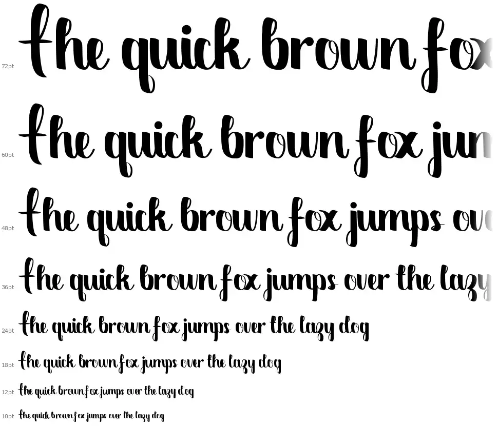 Riberio Script font by RaisProject | FontRiver