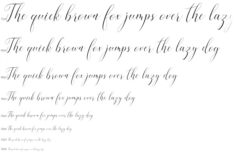 Ridiana font by Rhydan Studio | FontRiver