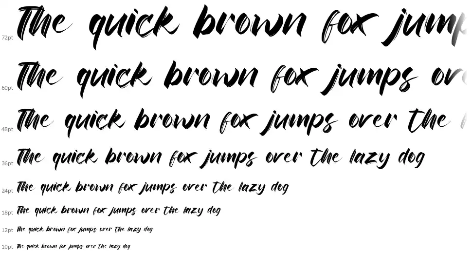 Rinjany font by StringLabs - stringlabscreative.com | FontRiver