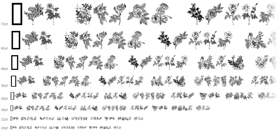 Rose font by House of Lime | FontRiver