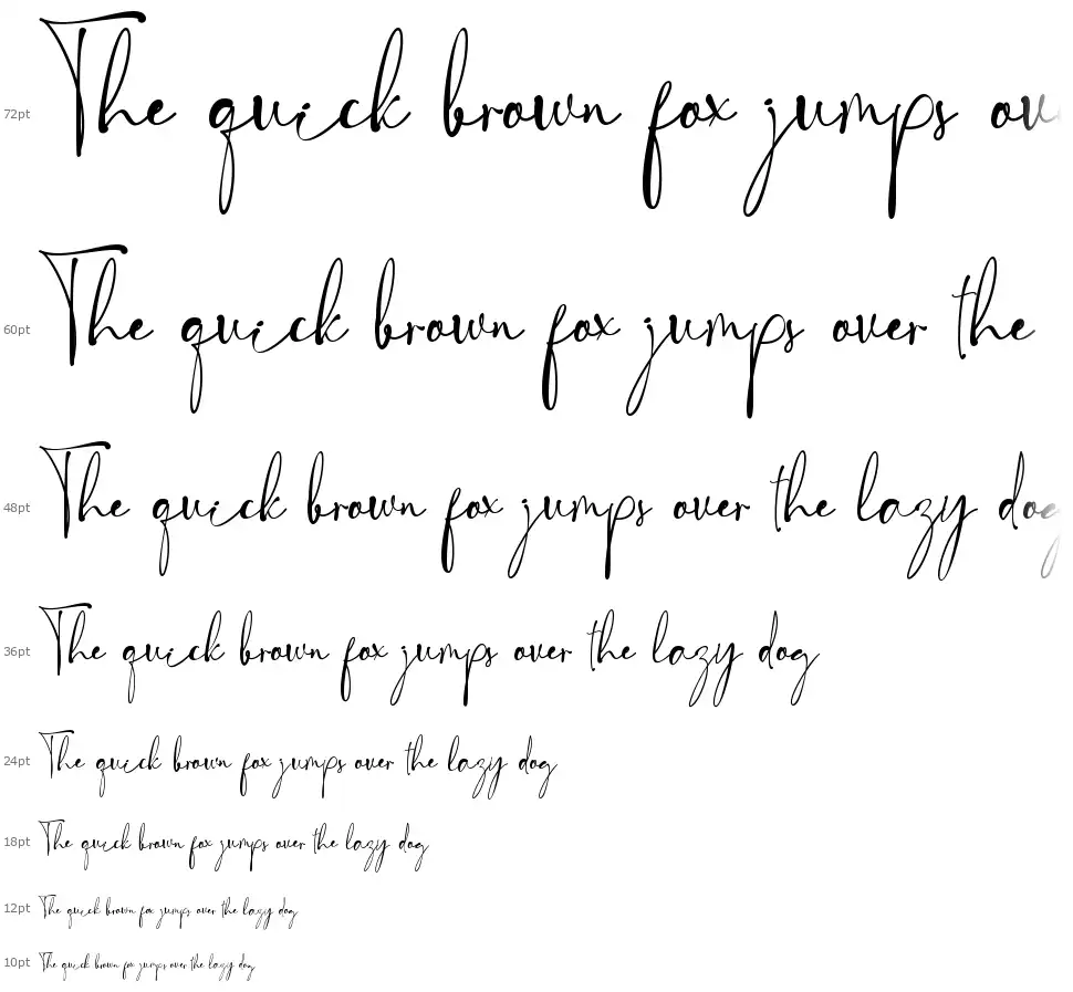 Royal Signature font by Yoga Letter | FontRiver