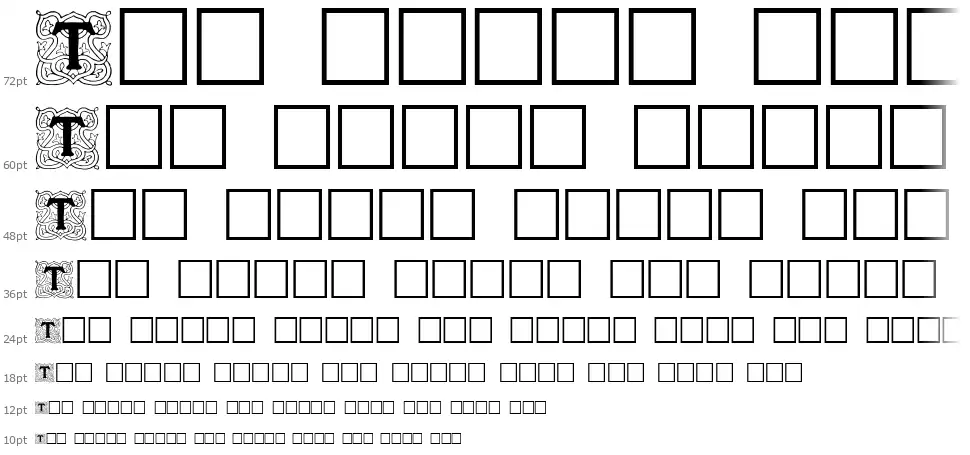 Roycroft Initials font by Dieter Steffmann | FontRiver