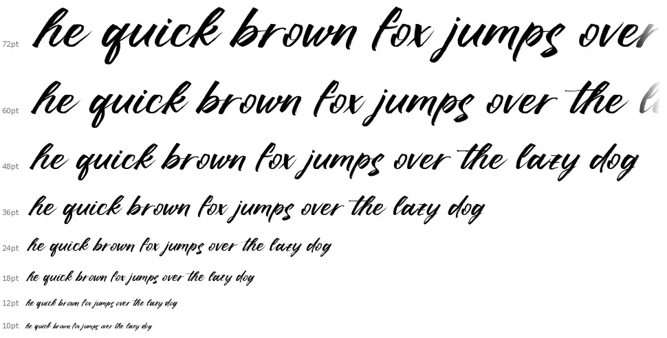 Ruffle Script font by Konstantine Studio | FontRiver