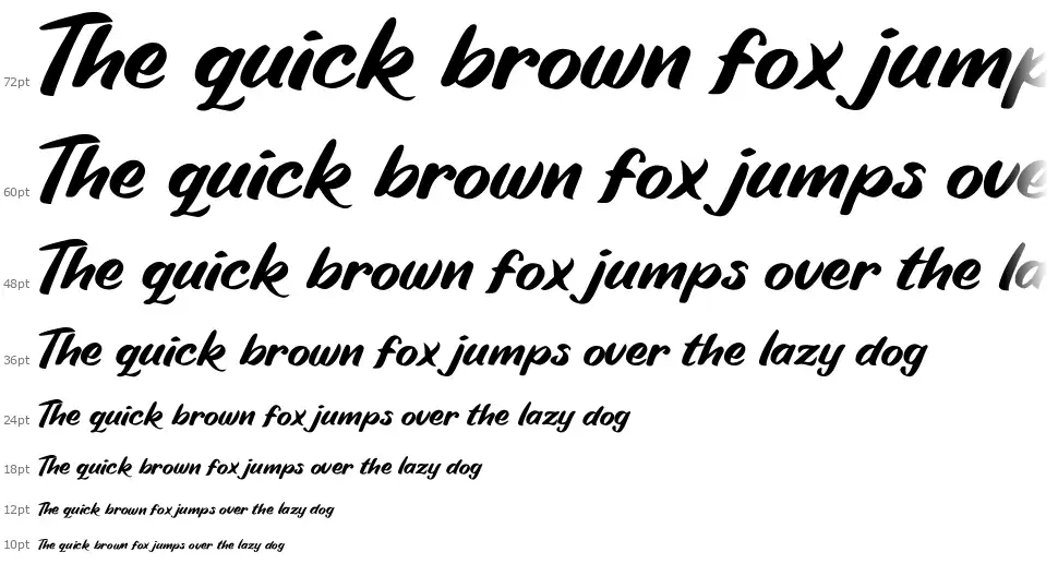 Ruth Calligraph font by starinkbrush | FontRiver