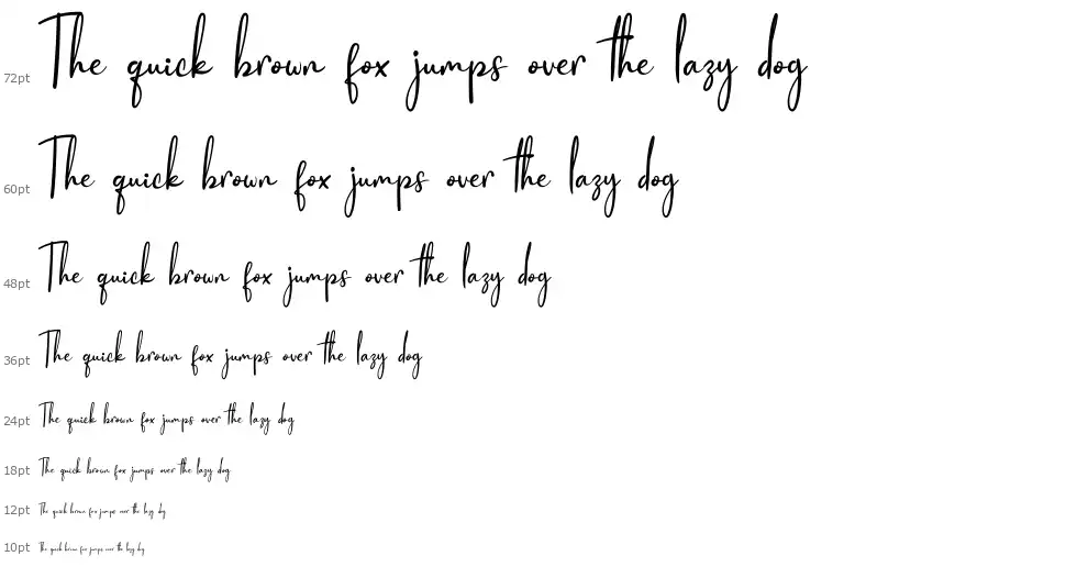 Ruth Signature font by twinletter | FontRiver