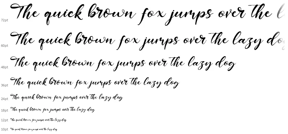 Sage Leaves font by Kong Font | FontRiver