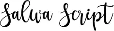 Salwa Script font by Getypes Studio | FontRiver