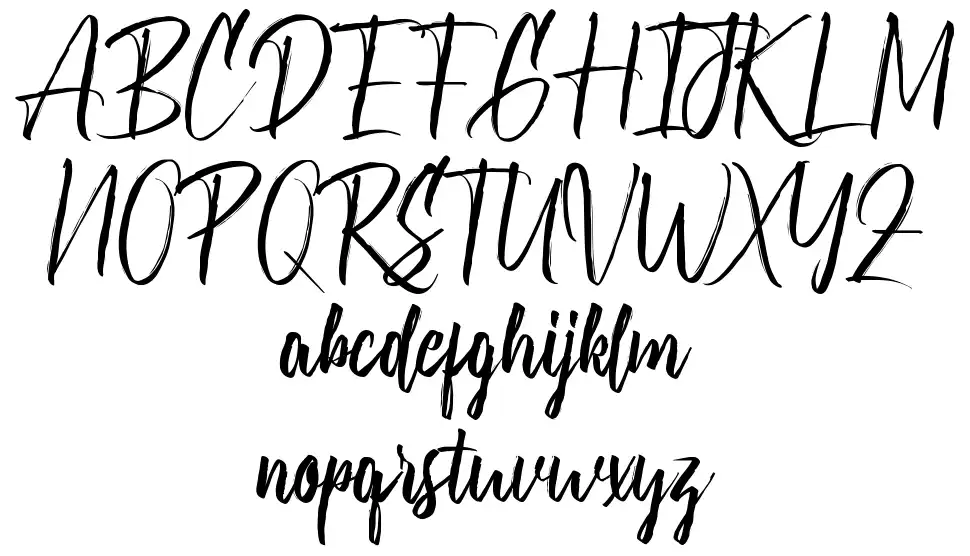 Sanpedro font by Noah Type | FontRiver