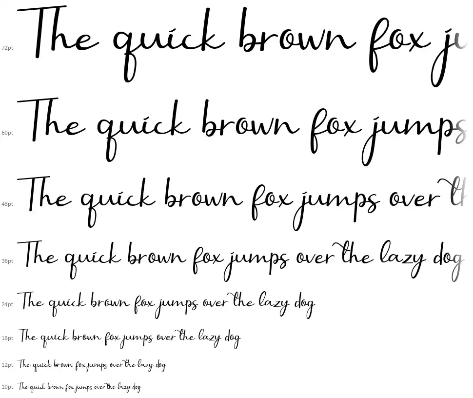 Selly Calligraphy font by AEN Creative Studio | FontRiver