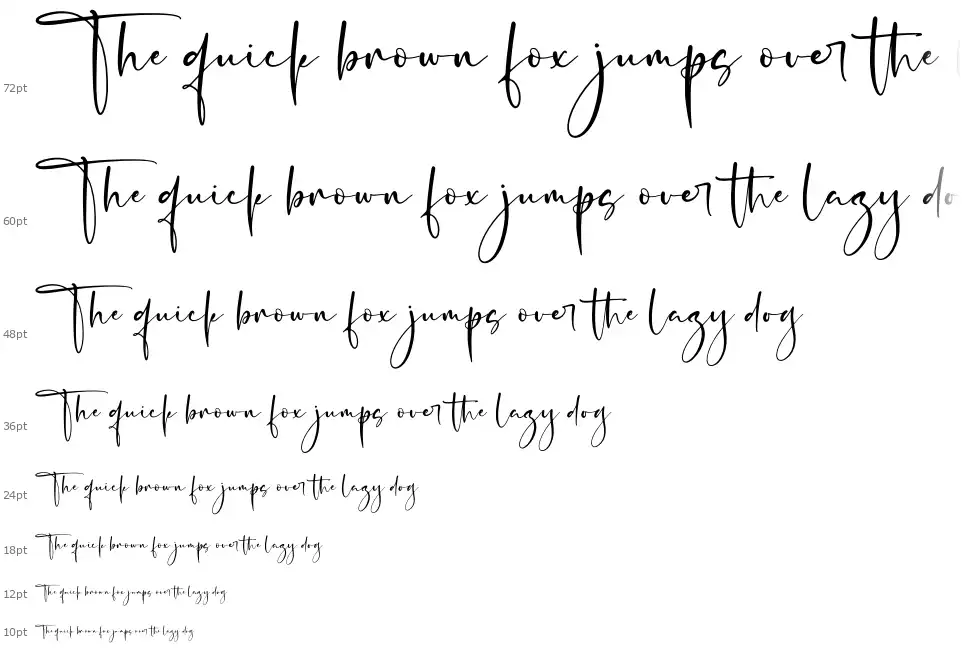 Senorita Signature font by Perspectype Studio | FontRiver