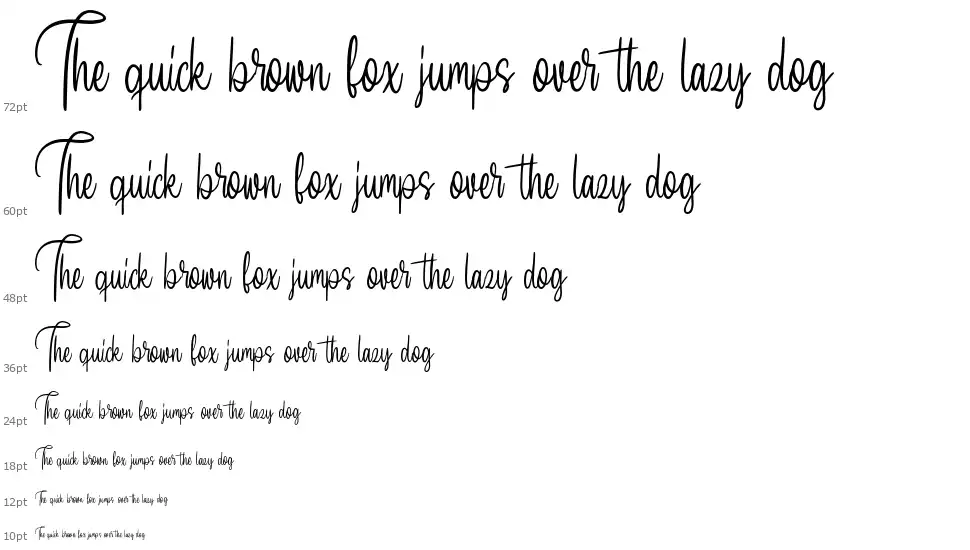 Septillion Script font by Colative Studio | FontRiver