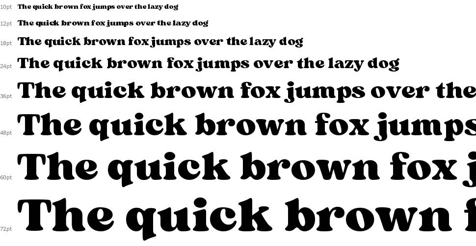 Sergio Trendy font by Kulokale Studio | FontRiver