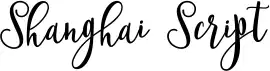 Shanghai Script font by Moriztype | FontRiver