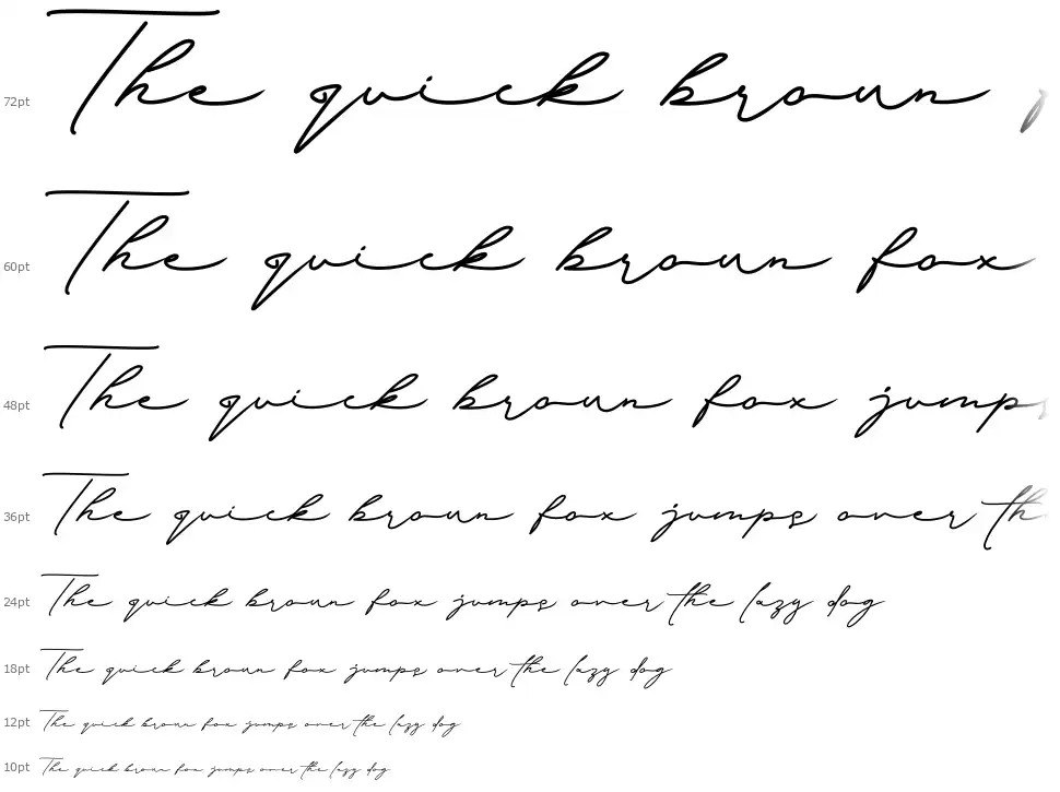 Signature Collection font by Halymunt Studio | FontRiver