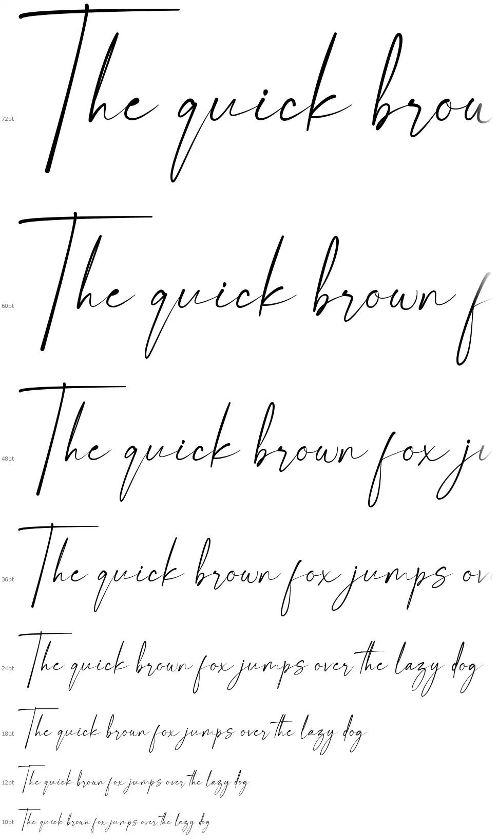 Signature Moments font by Hadjar Creative | FontRiver