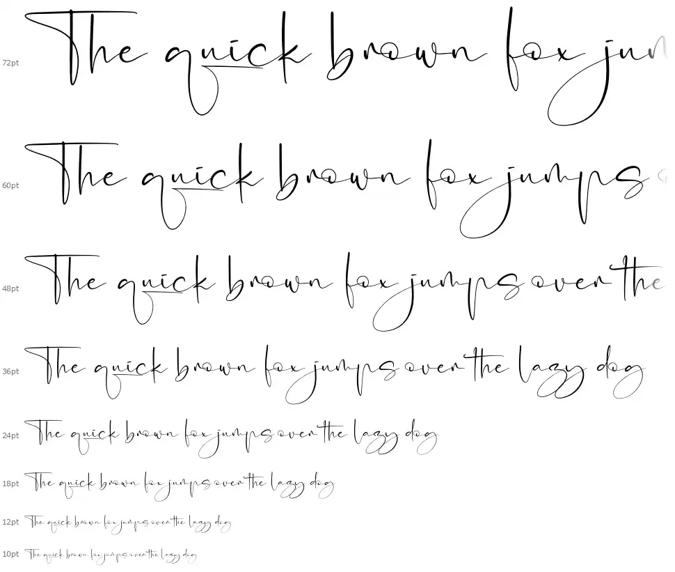 Signriyathi font by Integritype Studio | FontRiver