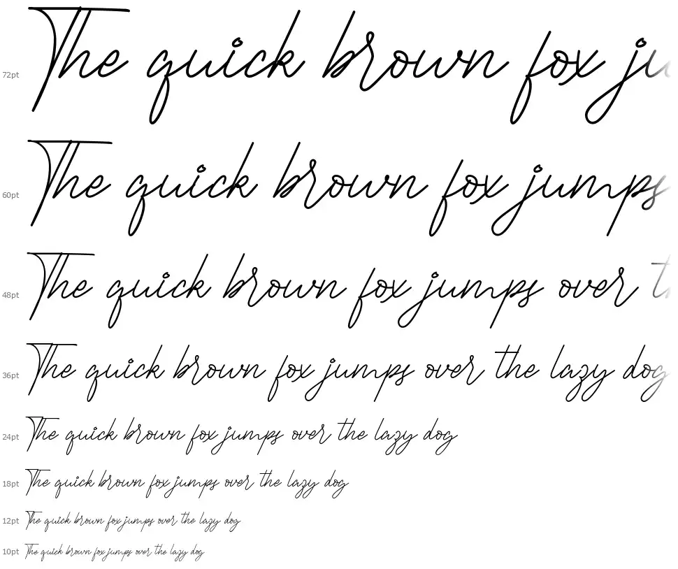 Single Life font by Noah Type | FontRiver