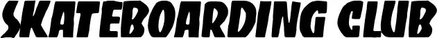 Skateboarding Club font by Woodcutter | FontRiver