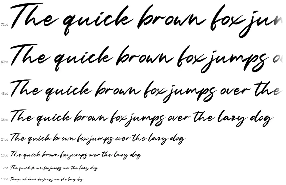 Slash Signature font by Din Studio | FontRiver