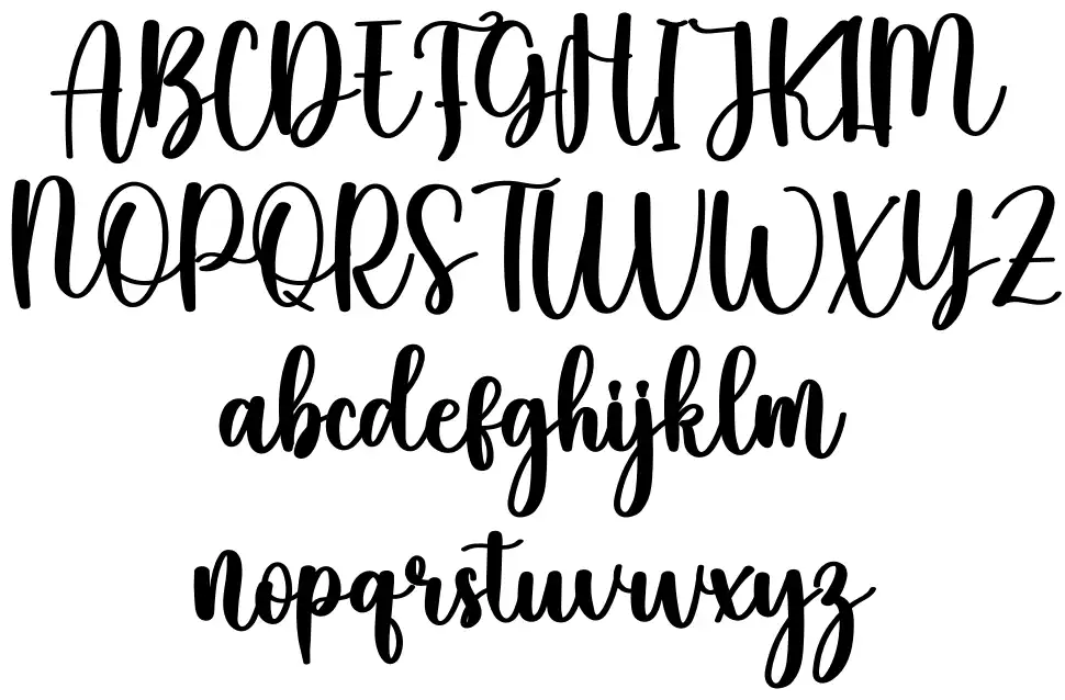 Slims font by FreshtypeINK | FontRiver