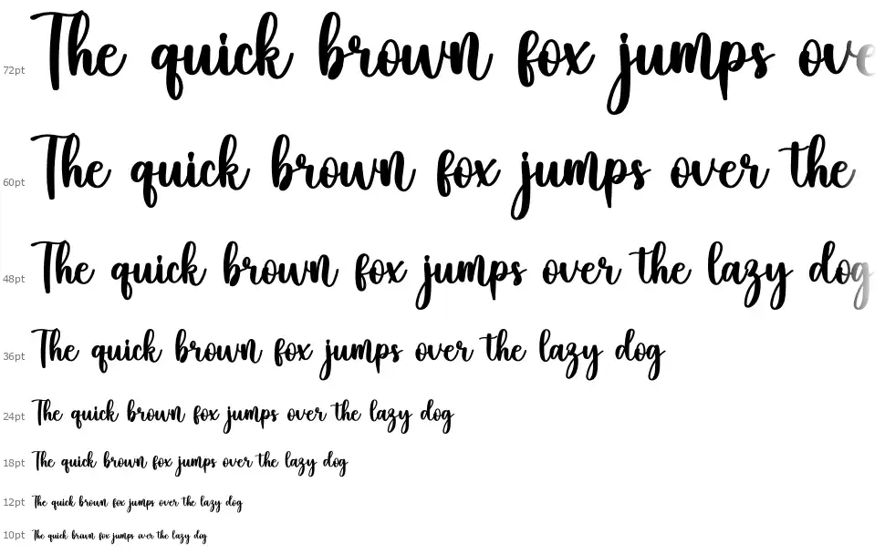 Slims font by FreshtypeINK | FontRiver