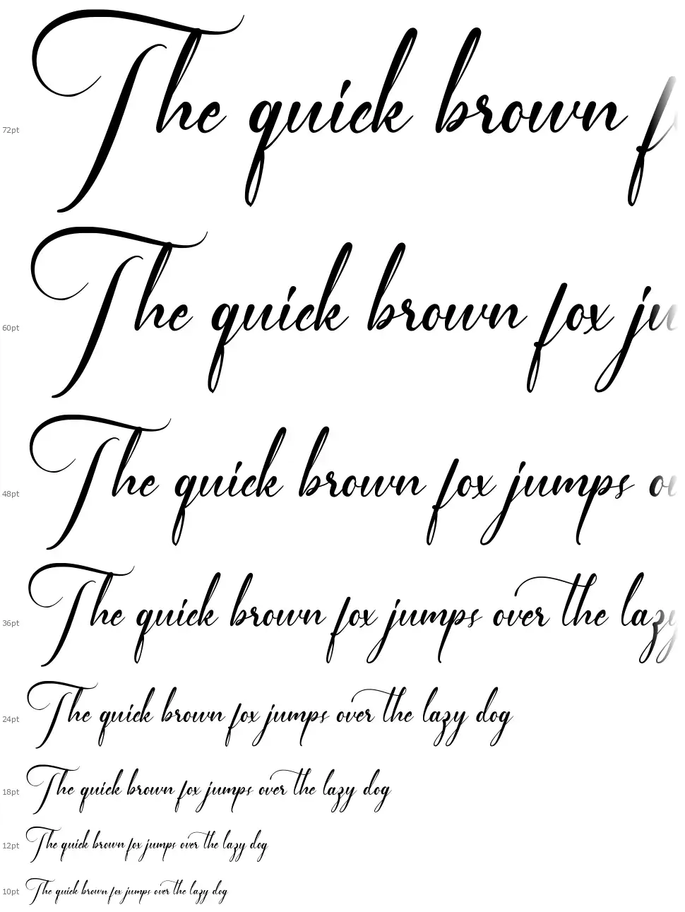 Special Night Regular Font at Sarah Alanson blog