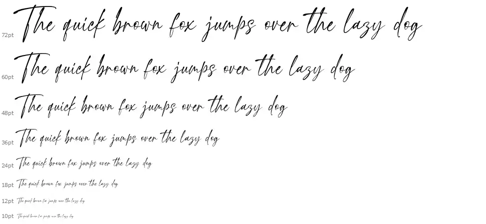 Spectacular Signature font by Beautypes | FontRiver