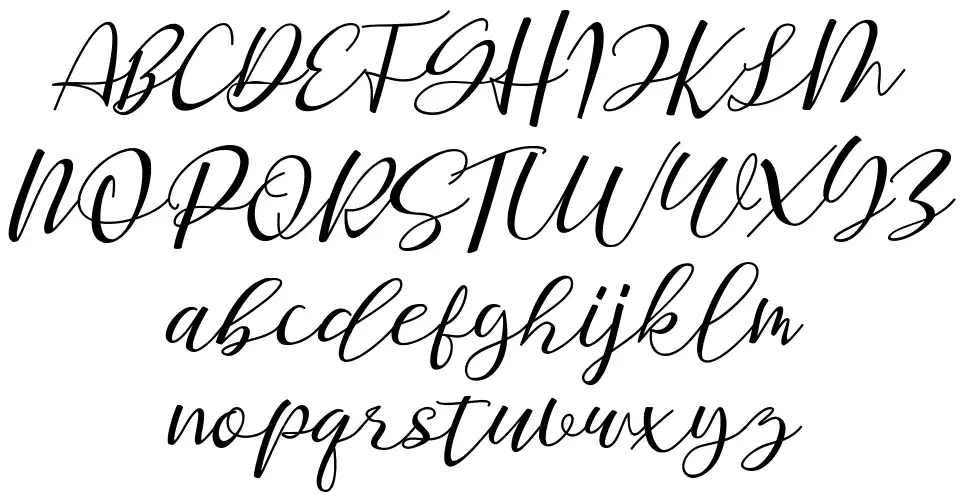 Staples Calligraphy Police par 177Studio | FontRiver