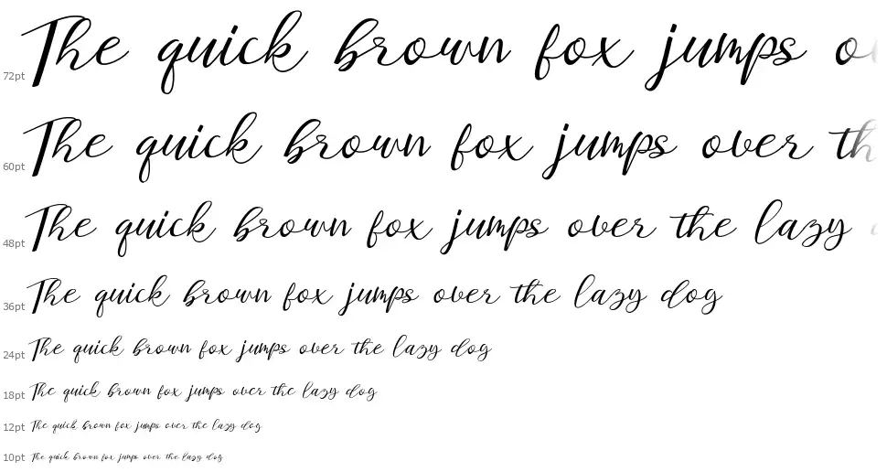 Staples Calligraphy font by 177Studio | FontRiver