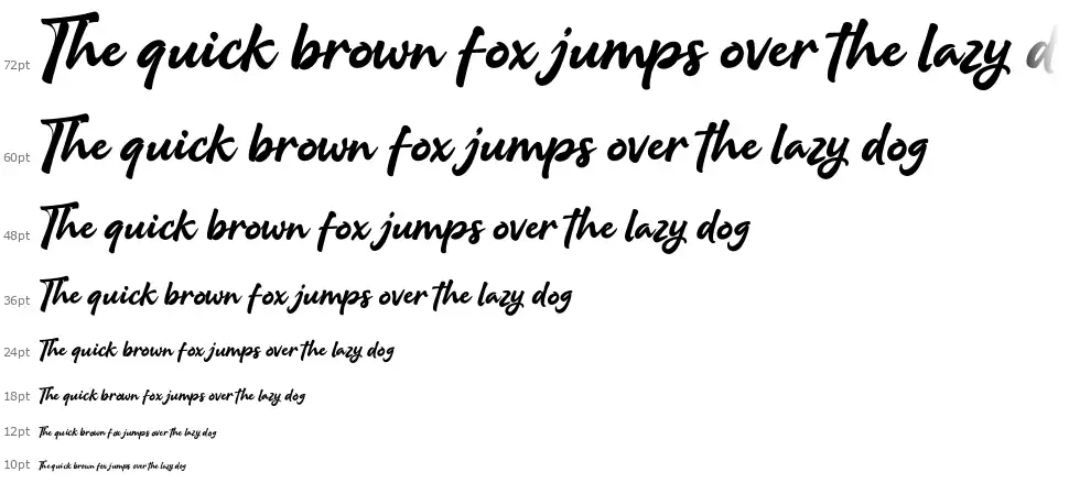 Stay Home Script font by olexstudio | FontRiver